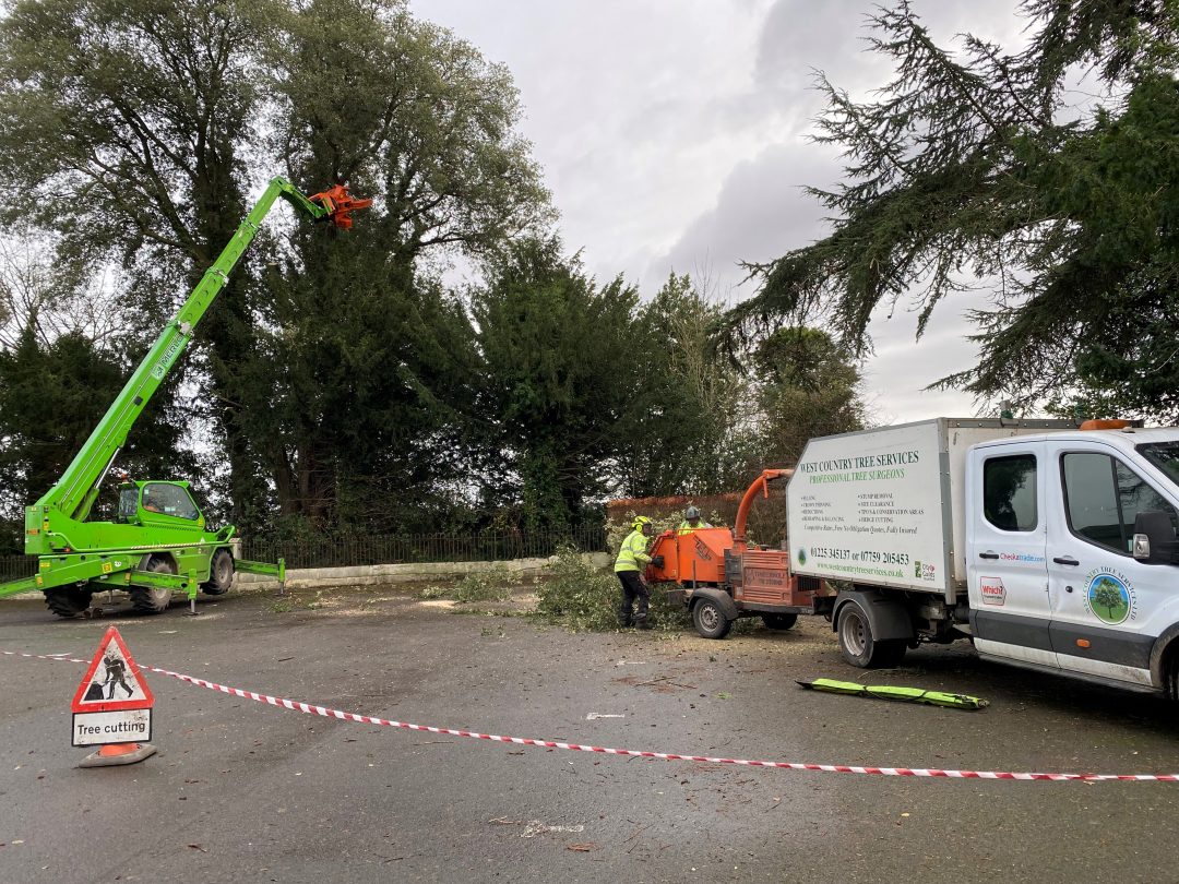 Understanding Tree Protection Orders (TPOs) - West Country Tree Services