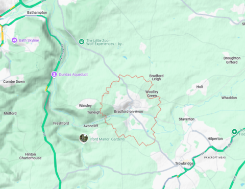 Understanding Tree Protection Orders (TPOs) - West Country Tree Services