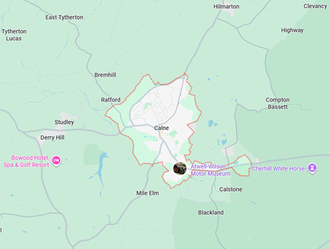 Understanding Tree Protection Orders (TPOs) - West Country Tree Services
